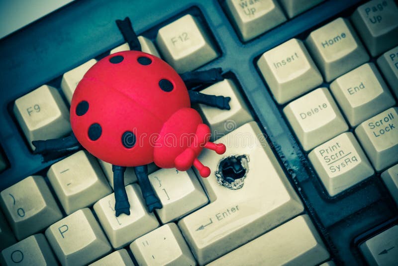 Ladybug on the Keyboard stock photo. Image of spacebar - 10528838