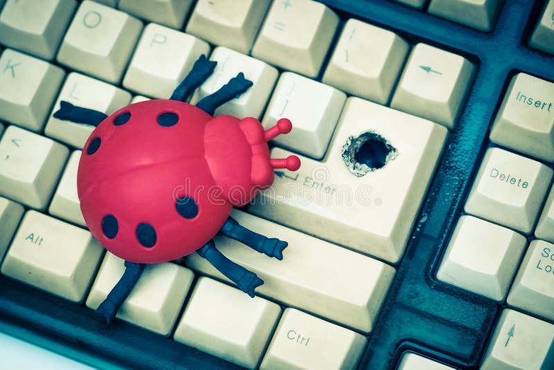 Bug in software stock photo. Image of programmer, protection - 7972374 Bug in software stock photo. Image of programmer, protection - 7972374