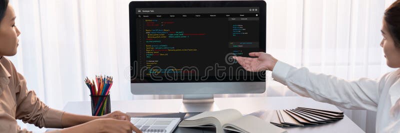 Software Development Programming on Computer Screen for Brisk ...