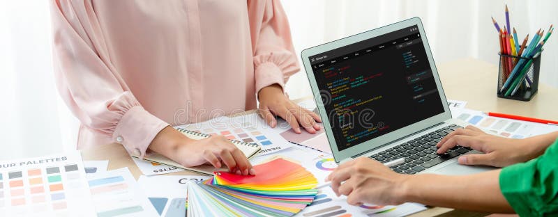 Software Development Programming On Computer Screen For Brisk