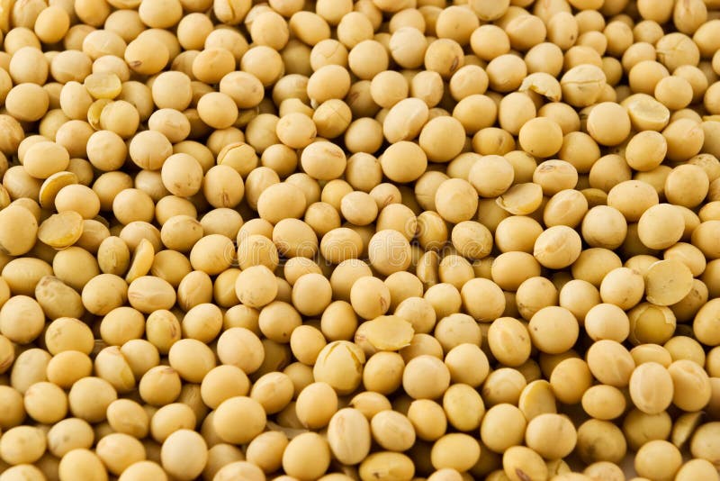 Olio di soia immagine stock. Immagine di alimento, soia - 15245887