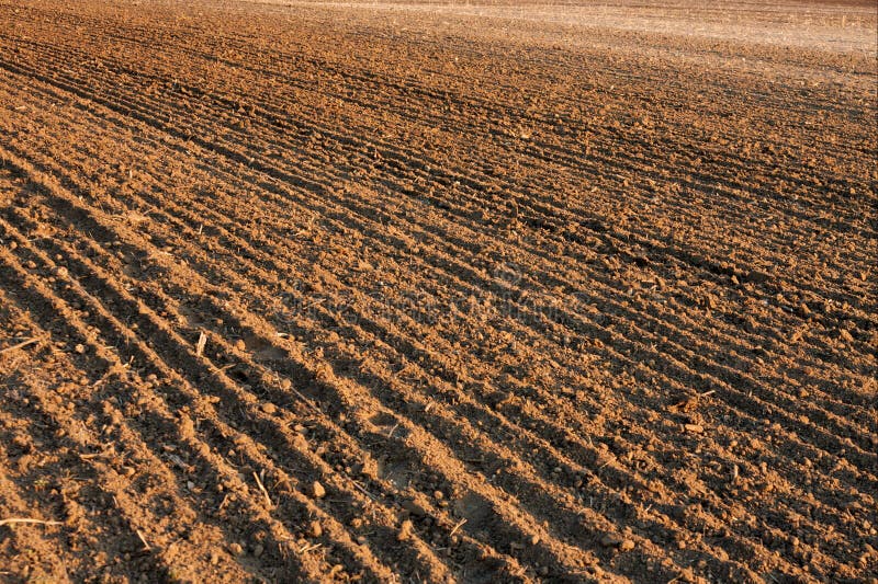Soil stock photo. Image of ground, environment, nature - 13120954
