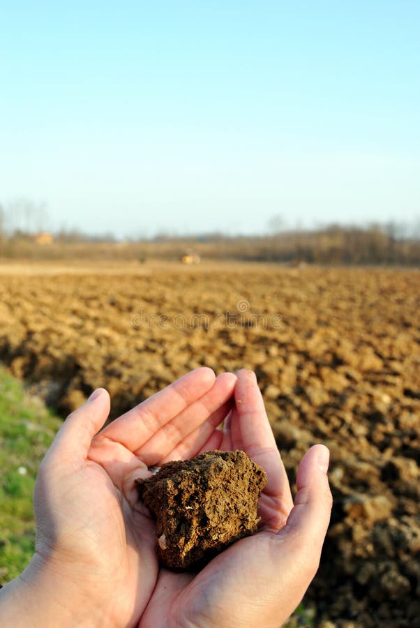 Soil in hand stock image. Image of gardening, fragility - 8367489