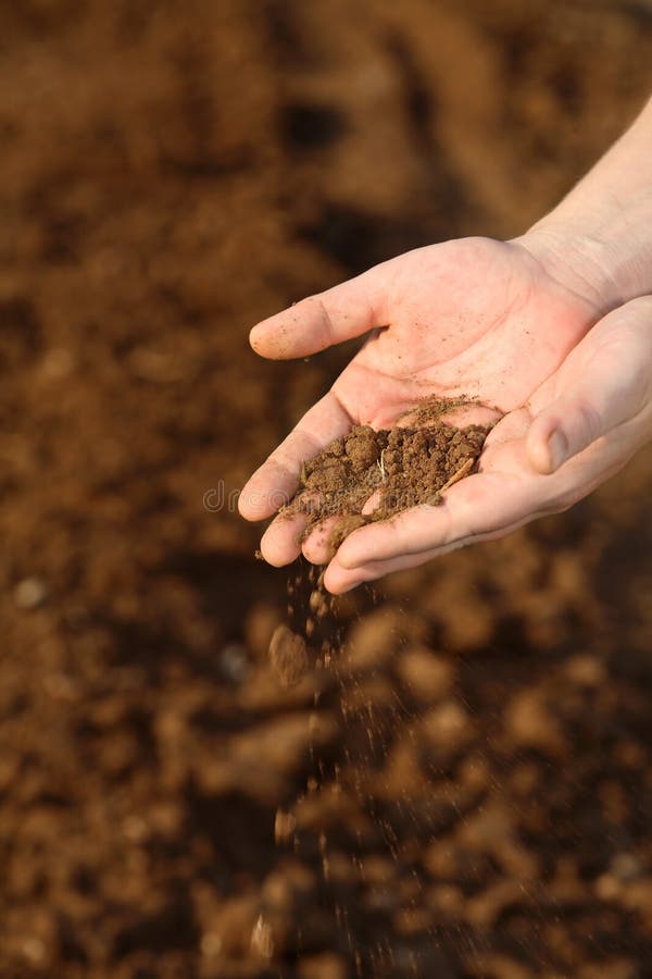 Soil in hand stock image. Image of clouds, agriculture - 5809873