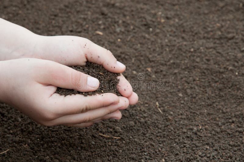 Soil stock image. Image of agriculture, dust, grained - 24001565