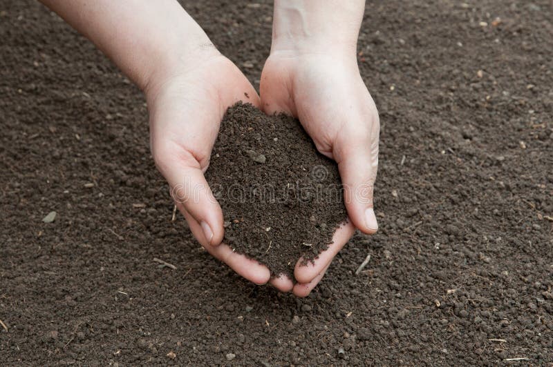 Soil stock image. Image of agriculture, dust, grained - 24001565