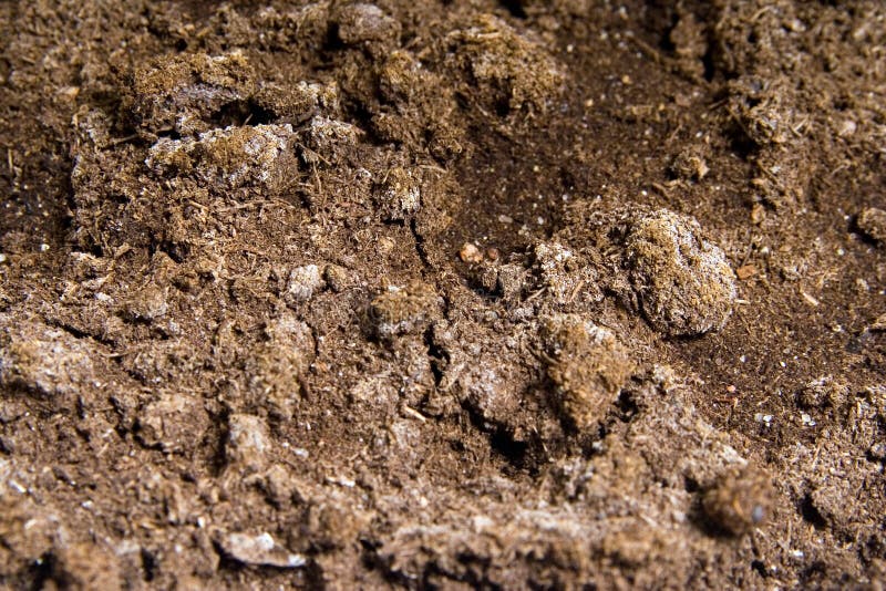 Soil stock photo. Image of fertility, cultivating, dust - 664982