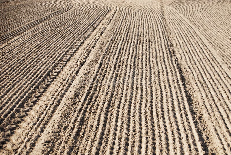 Soil of an Agricultural Field Stock Image - Image of field, hunger ...