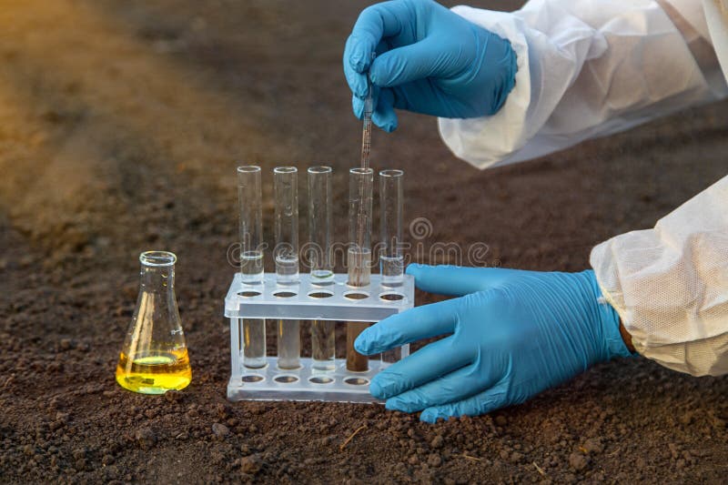 Soil Analysis in a Test Tube. Selective Focus Stock Image - Image of ...
