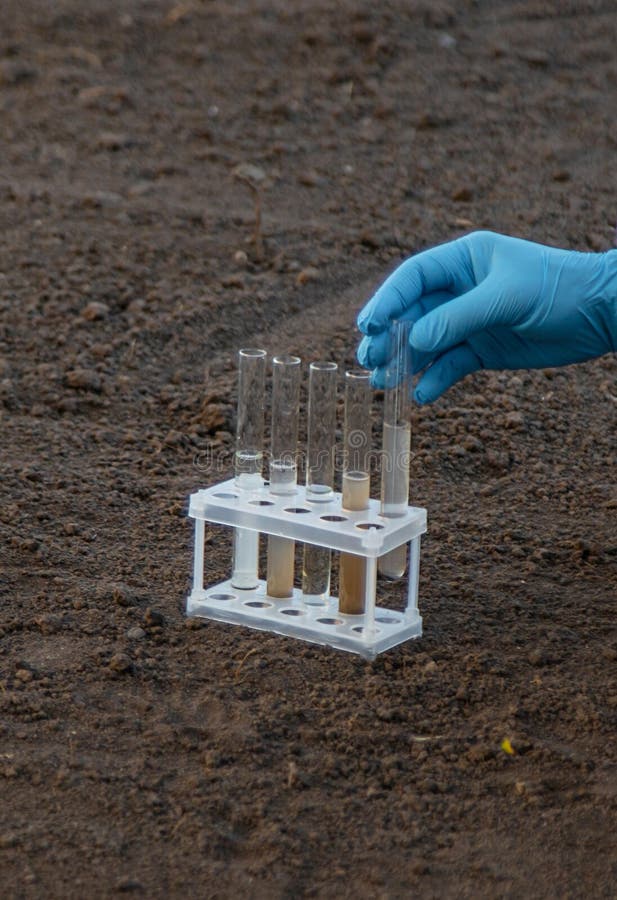 Soil Analysis in a Test Tube. Selective Focus Stock Photo - Image of ...