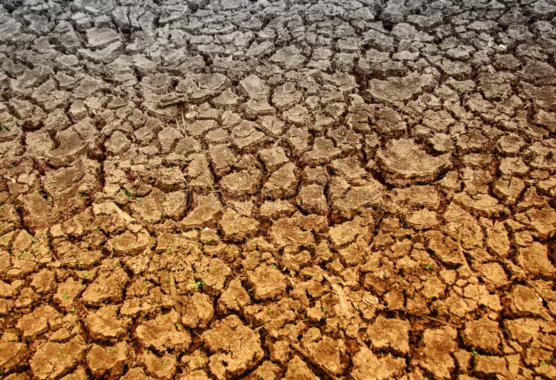 77,121 Environmental Texture Photos - Free & Royalty-Free Stock Photos ...