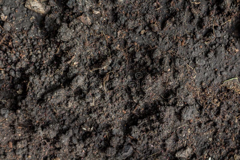 Soil background stock image. Image of natural, closeup - 195037949