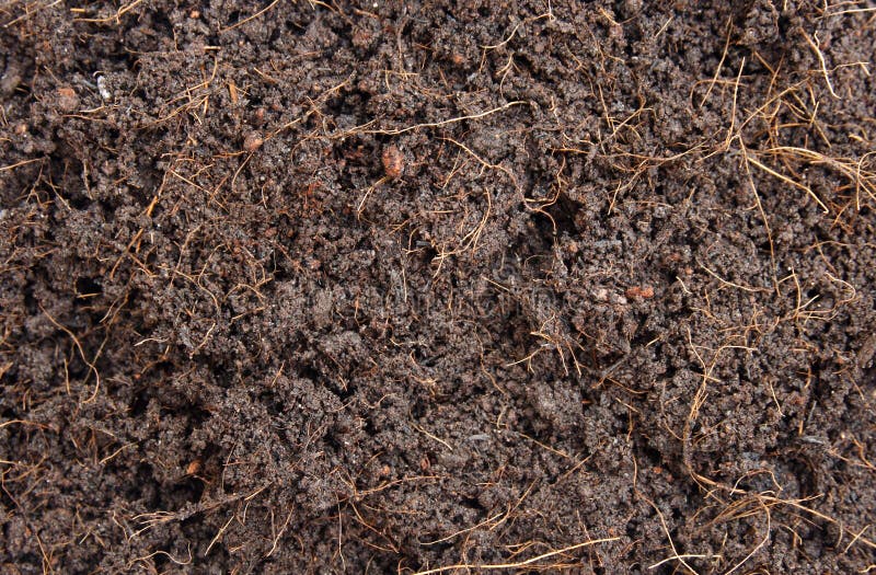 Soil background stock image. Image of pattern, dirt, organic - 20416497