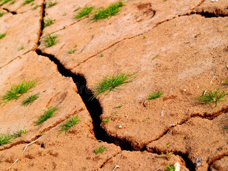 Soil background stock image. Image of earth, decayed, muddy - 2069213