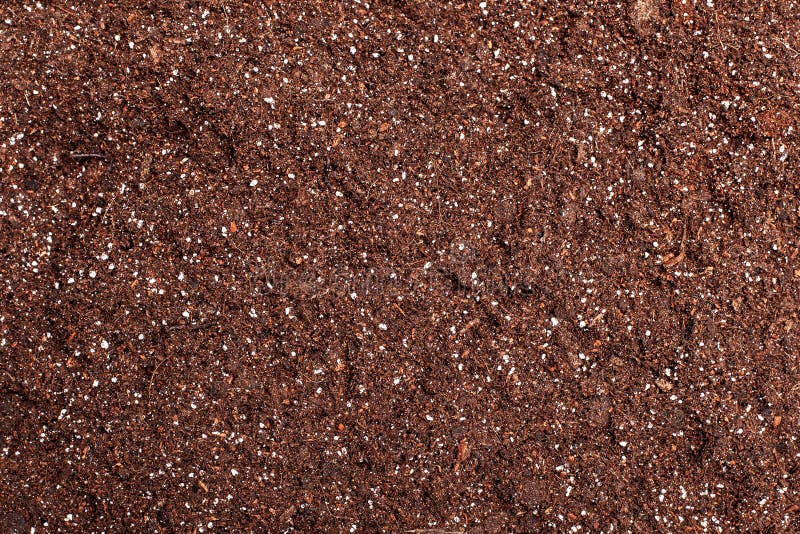 Soil Background. Close Up Ground Texture Stock Photo - Image of land ...