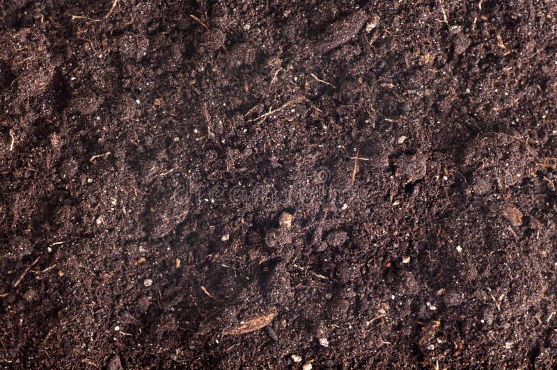 Soil Background, Ground Texture Top View Stock Image - Image of mound ...