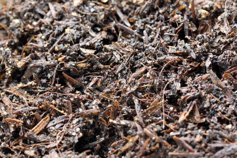 Soil for a background. stock photo. Image of soil, loam - 42519024