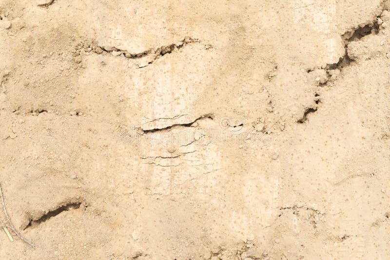 Soil background, pattern stock photo. Image of desert - 43493504