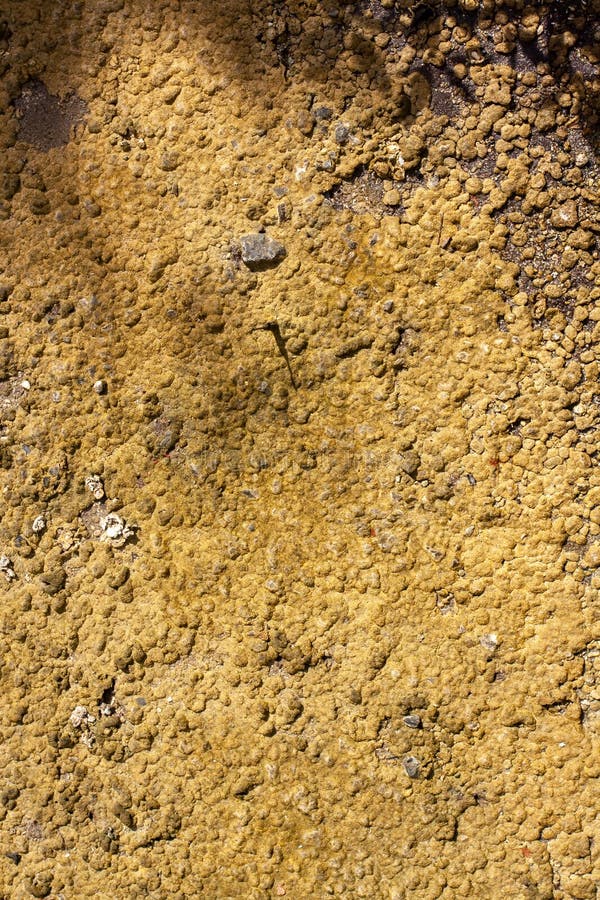 Soil Background with Pebbles and Dried Silt. Vertical Stock Image ...