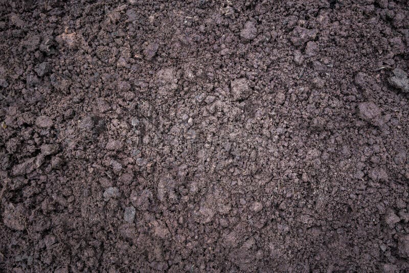 Soil Texture and Background,top View Stock Photo - Image of ...