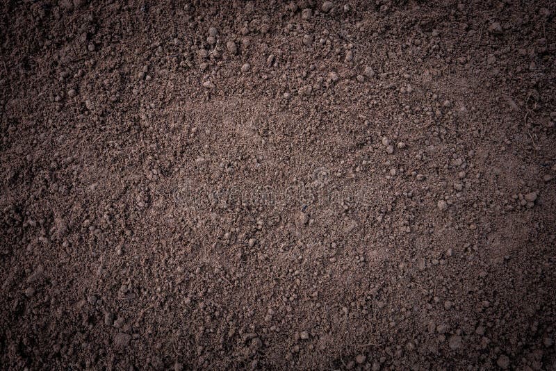 Soil Texture and Background,top View Stock Photo - Image of ...