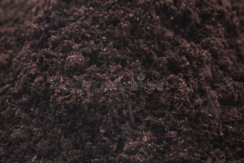 Soil background stock photo. Image of compost, peat, background - 36395244