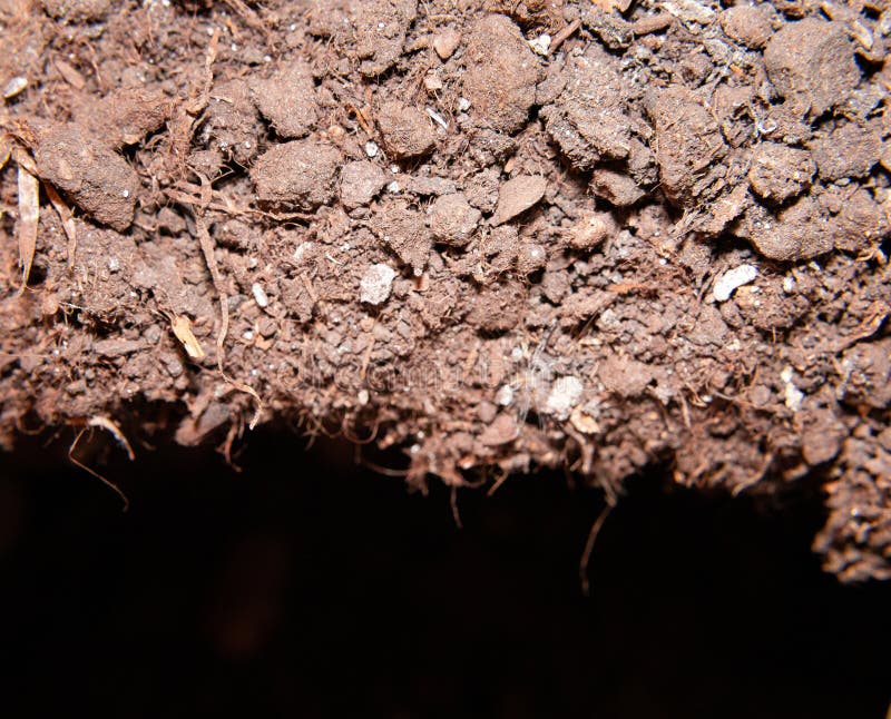 Soil of Black Soil, View into a Shallow Earthen Cave Stock Photo ...