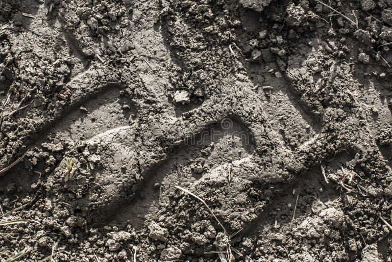 Soil, Black and White, Rock, Geology Stock Image - Image of texture ...