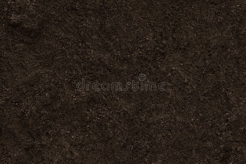 Earth Day with Brown Carved Stones Over Beach Sand Stock Image - Image ...