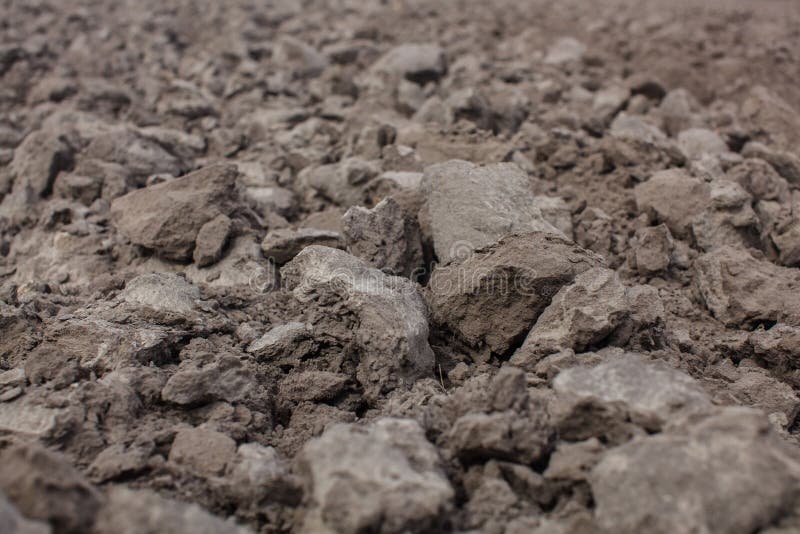 Soil Close-up. Plowed Field. Stock Photo - Image of environment, ground ...