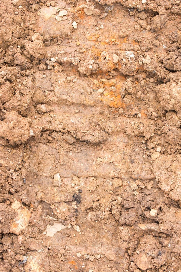 Soil stock image. Image of conservation, ground, botany - 44382495