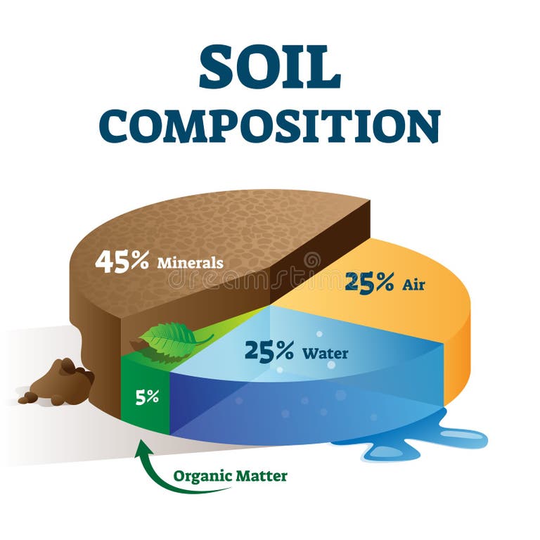 Soil Composition Structure Labeled Educational Scheme Vector ...