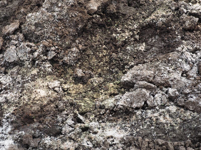 Lime On The Soil In The Garden. Stock Photo - Image of powder ...