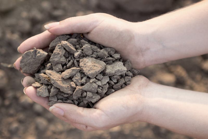 234 Soil Chunks Stock Photos - Free & Royalty-Free Stock Photos from ...