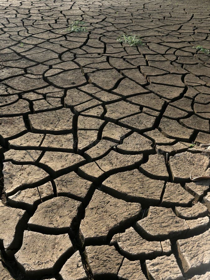 Soil Cracks Pattern for the Nature Background Stock Image - Image of ...