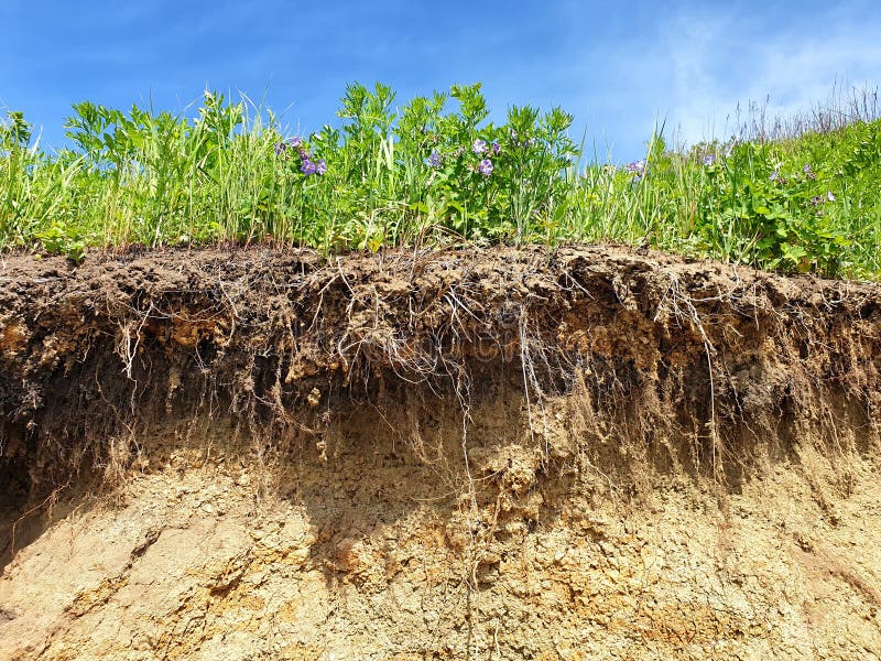 Soil cut due to landslide stock photo. Image of ecology - 155901388