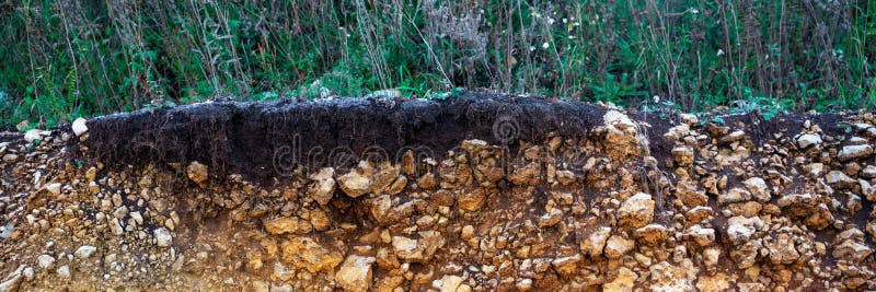 Soil Cut-sandstone, Stones, Clay, Sand Structure and Layers. Slice of ...