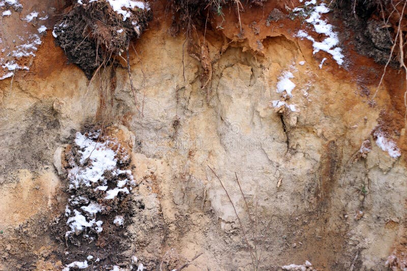 Soil cut texture stock photo. Image of brown, environment - 81390252