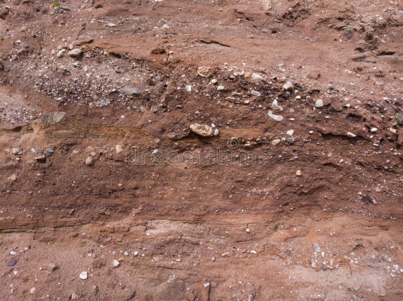 Soil cut texture stock photo. Image of texture, layers - 128495342