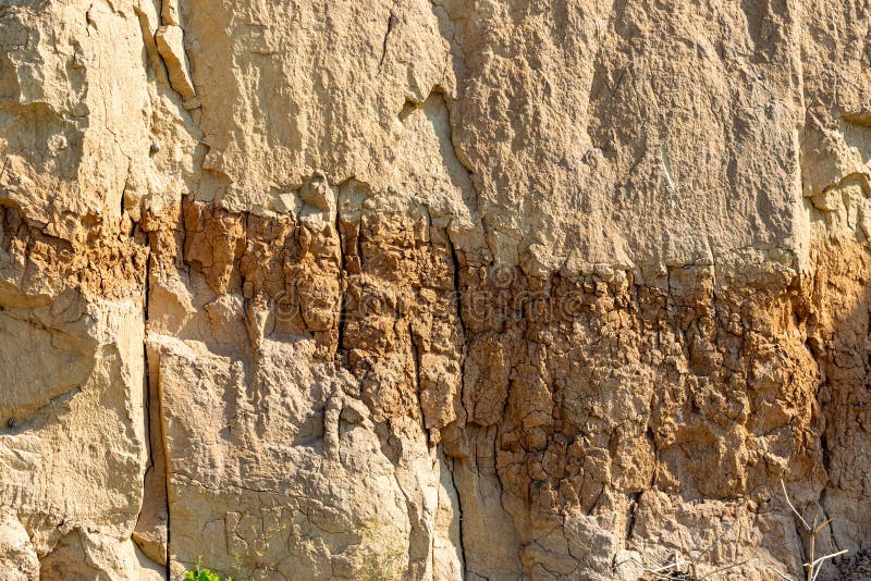 Soil cut texture stock image. Image of layer, surface - 196671117