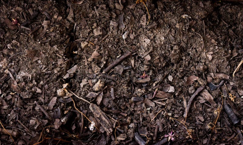 Soil Dark Ground Surface Top View Texture and Background Stock Image ...