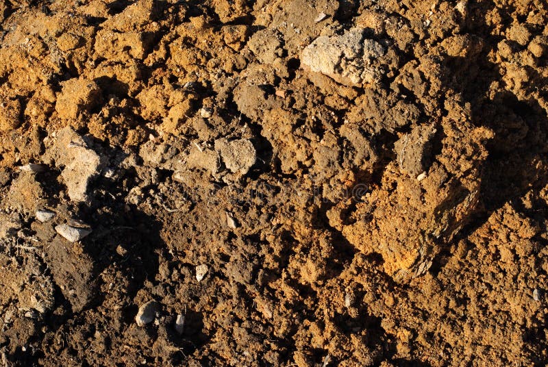 Cut of soil stock photo. Image of layers, geology, clay - 33520106