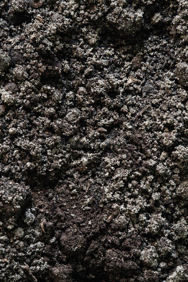 Soil Dirt White Rice Mix Fly Explosion. Rice Soil Fertilizer Abstract ...