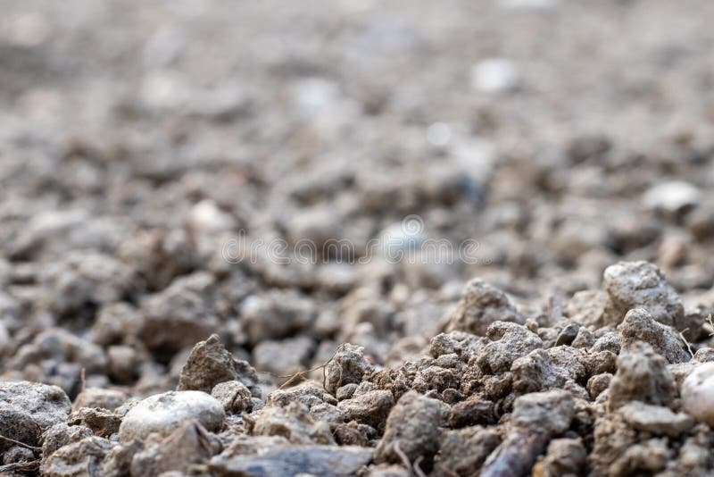 Soil Dirt Closeup with Small Rocks and Stones Stock Image - Image of ...