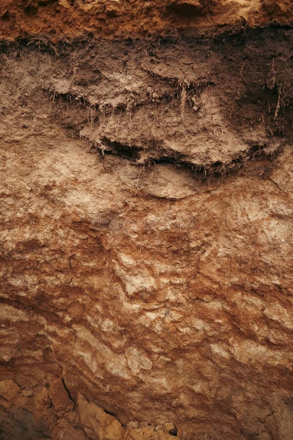 Soil or Dirt Cross Section Close-up. Underground Earth Texture, Cross ...