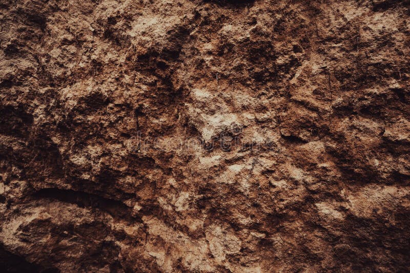 Earth Section with Different Layers of Soil, Rocks and Plant Roots ...