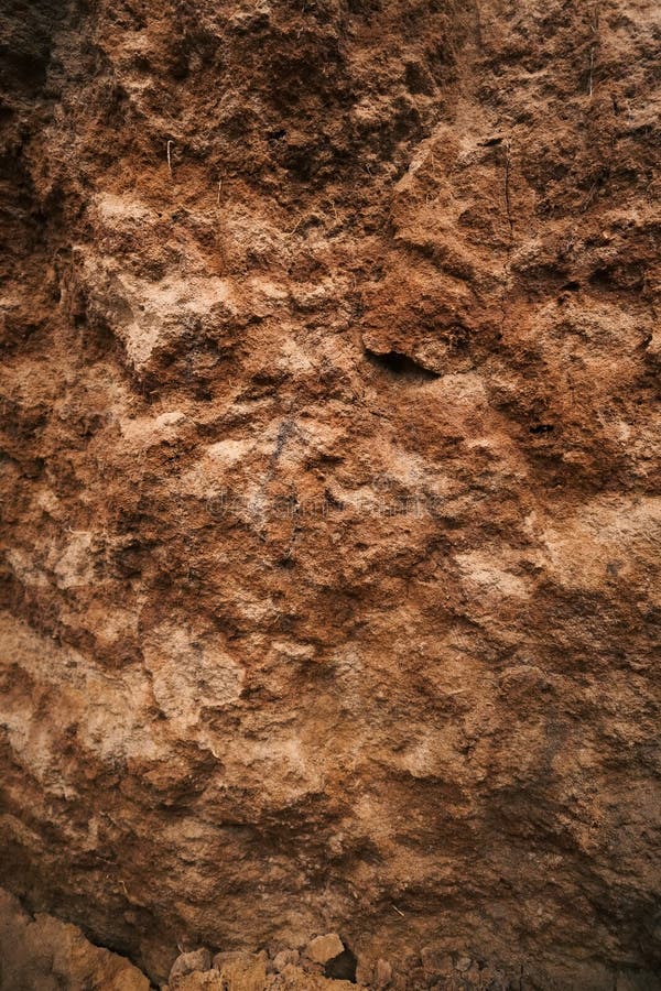 Soil or Dirt Cross Section Close-up. Underground Earth Texture, Cross ...
