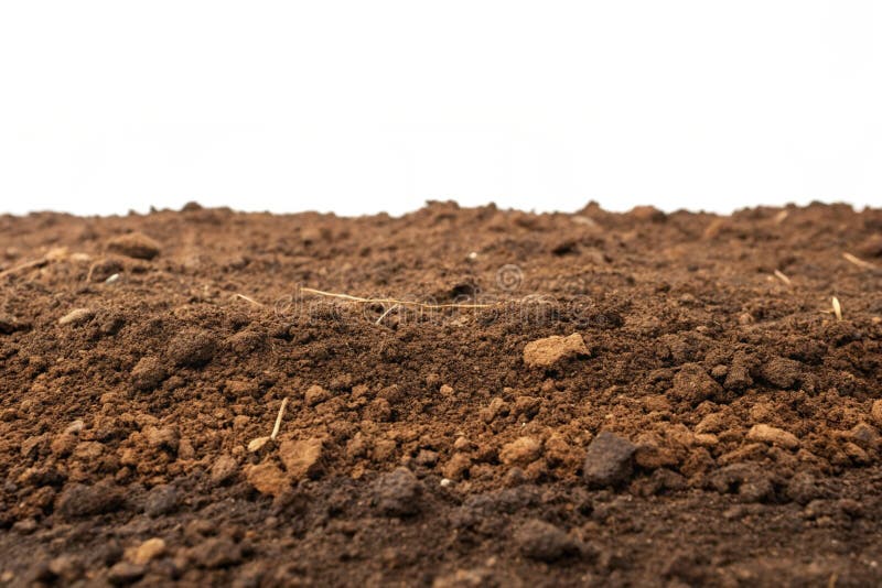 Soil or Dirt or Mud Flat Background or Texture Stock Illustration ...