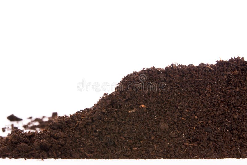 Soil or Dirt Section Isolated on White Background Stock Image - Image ...
