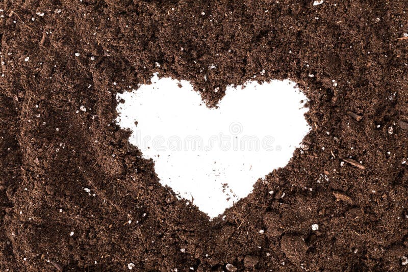 Soil or dirt section stock image. Image of nature, land - 75838689